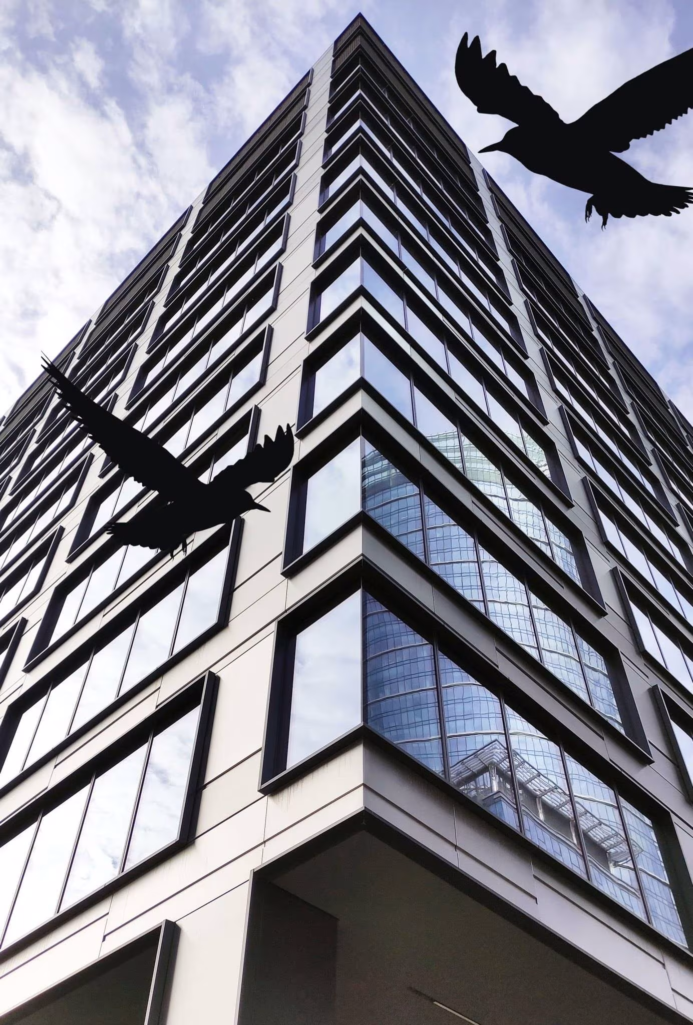 High Performance Windows and Doors